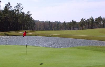 Anderson Creek Golf Club - Ring The Pines