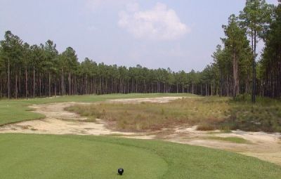Anderson Creek Golf Club - Ring The Pines
